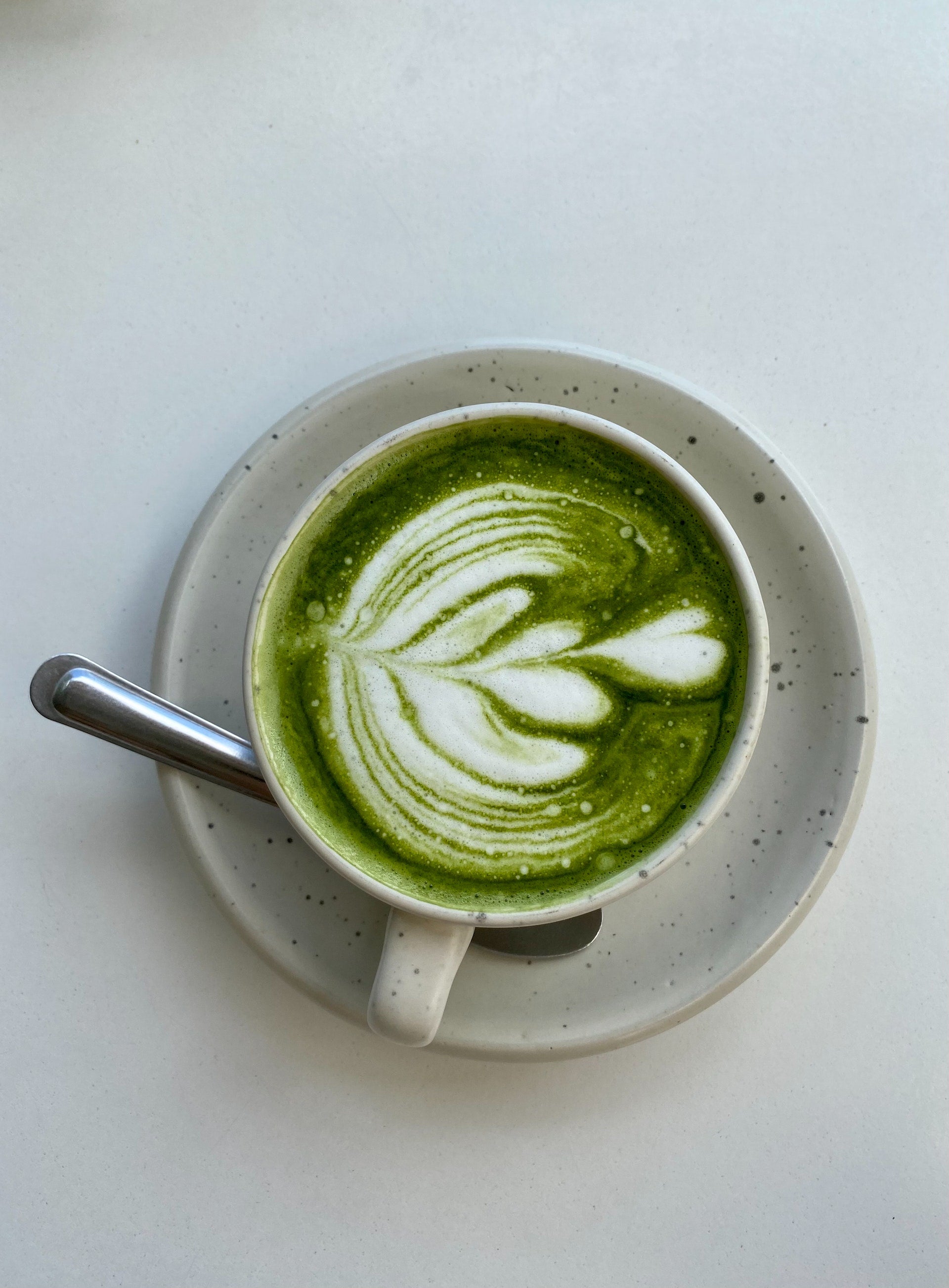 ¿Qué bebida vegetal elegir para espumar tu latte de Matcha – Matcha & CO